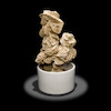 Bonhams : Exceptional Desert Rose Sand Selenite Display Specimen