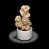 Bonhams : Exceptional Desert Rose Sand Selenite Display Specimen