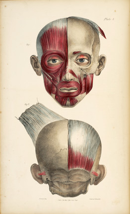 Bonhams : QUAIN, JONES. 1796-1865; and WILLIAM JAMES ERASMUS WILSON ...