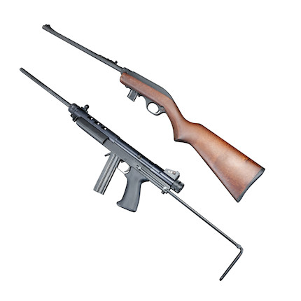 Bonhams Skinner : Two .22 Caliber Rifles, Modern firearm
