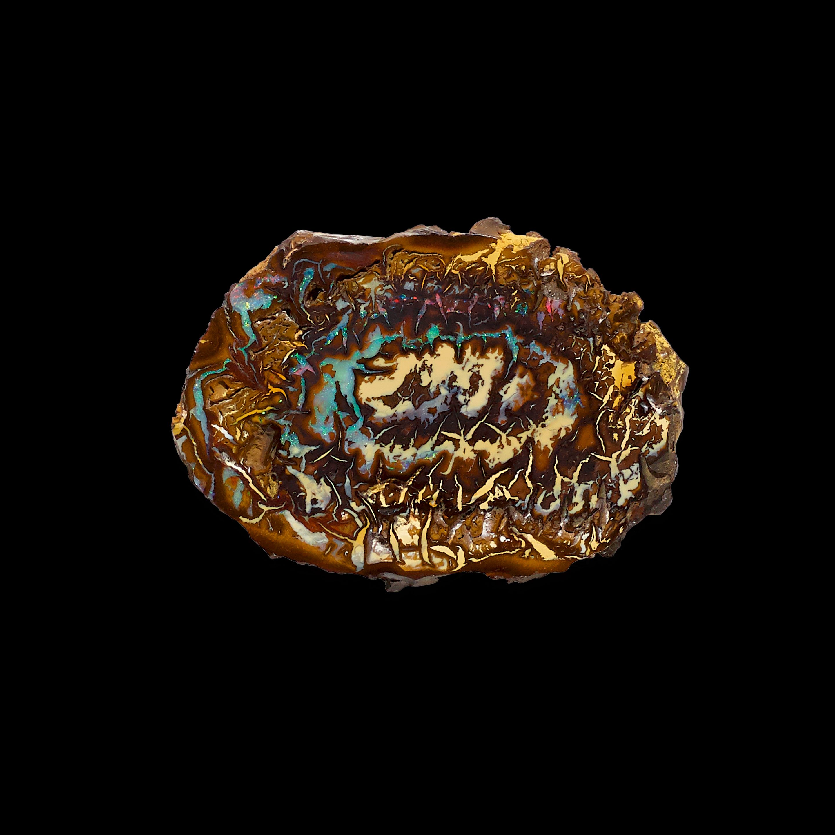 Bonhams : Yowah Nut Cross Section Slice