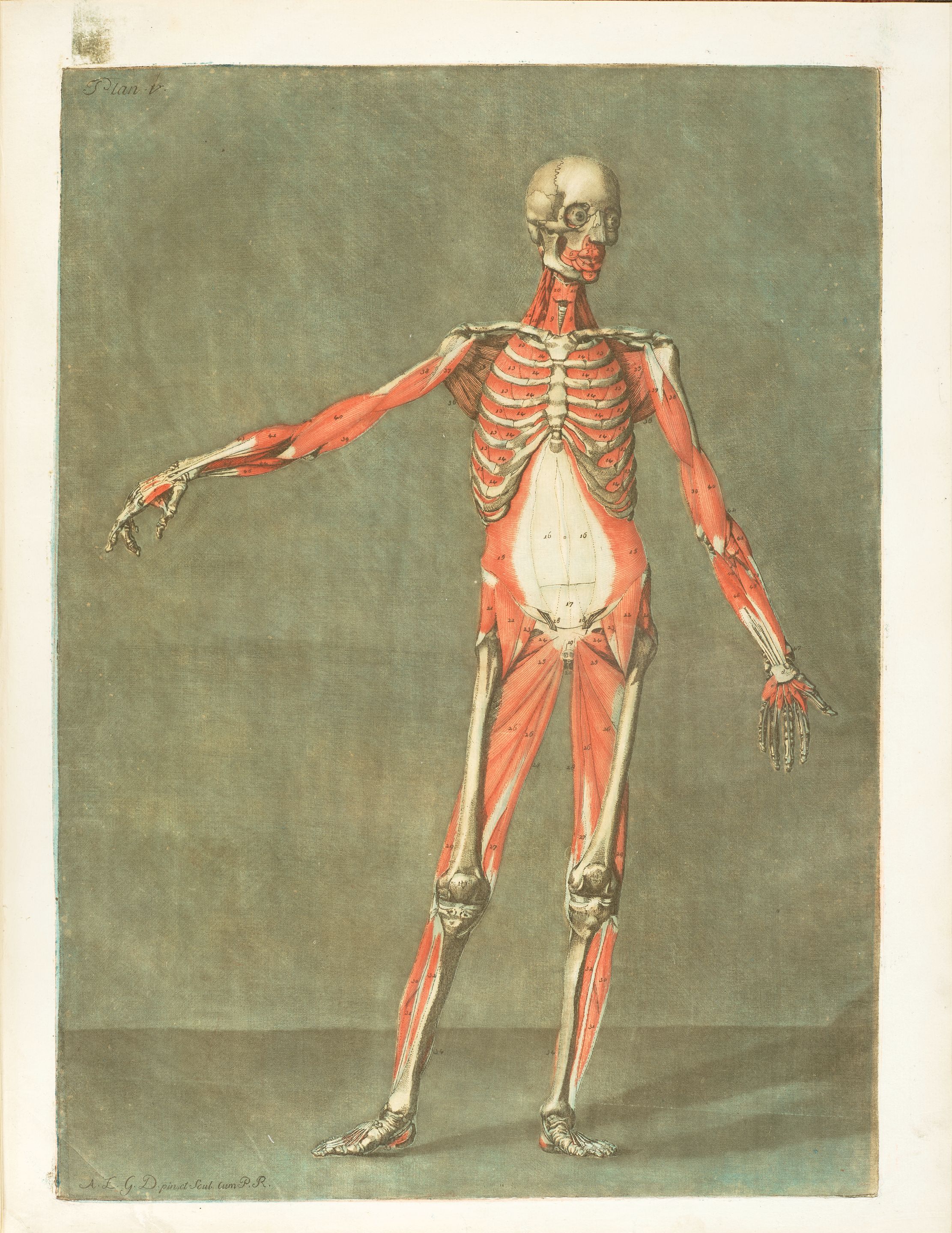 Bonhams : GAUTIER D'AGOTY, JACQUES FABIEN. 1716-1785; and NICOLAS ...