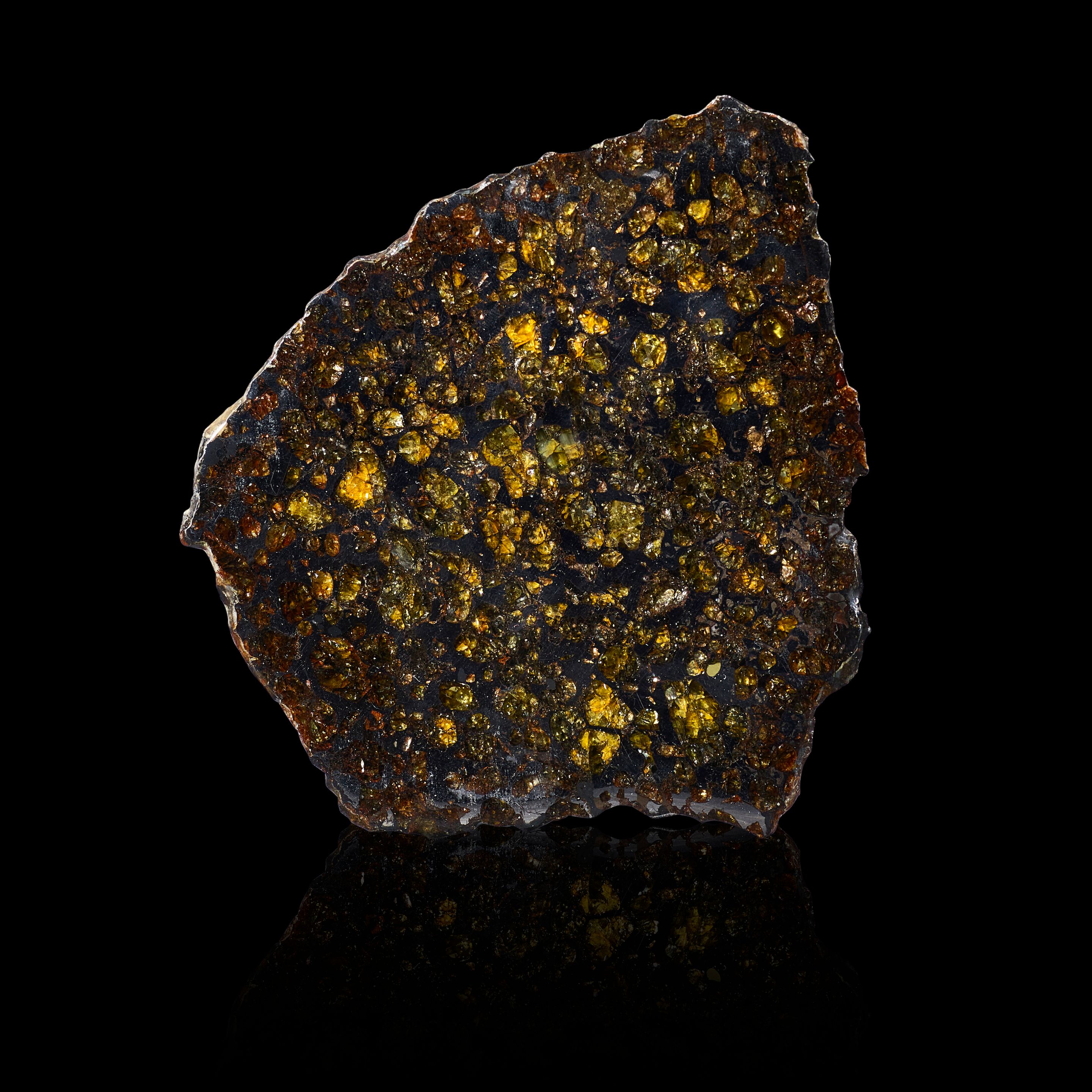 Bonhams : Brahin Pallasitic Meteorite--Complete Slice