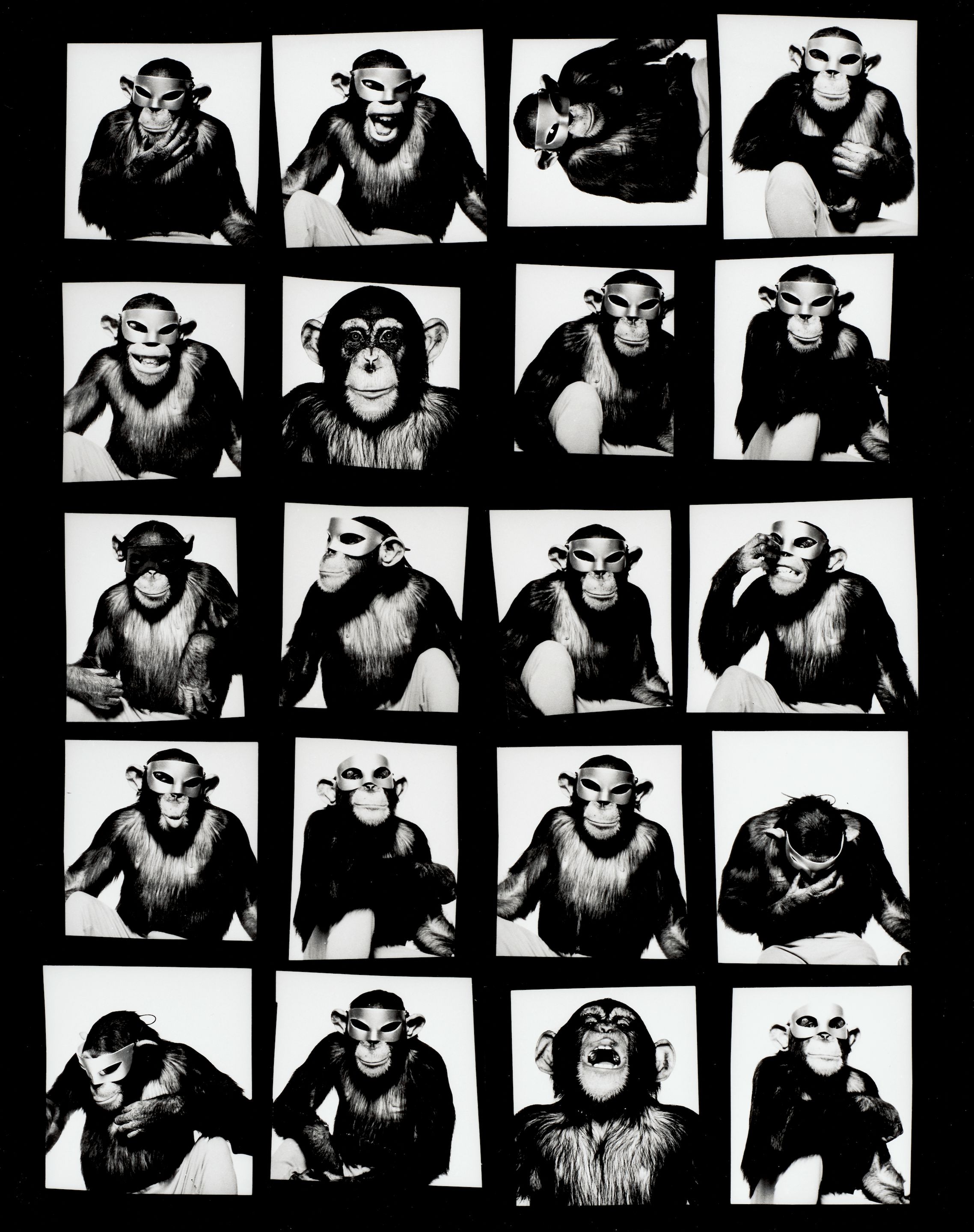 Bonhams : Albert Watson (born 1942); Monkey with Mask Contact Sheet;