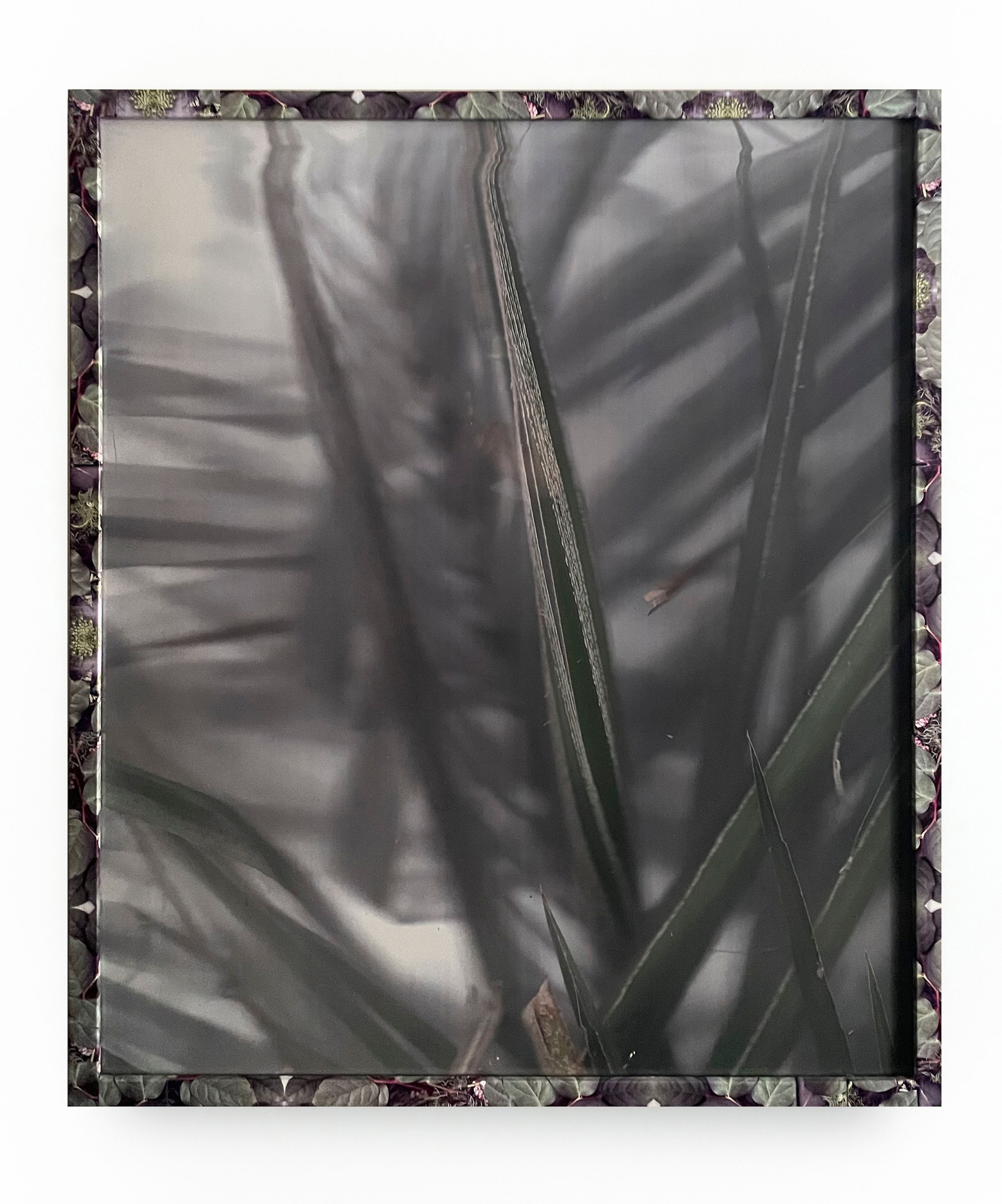 Bonhams : MEGAN MUELLER (B. 1982) Outside Scan (Palm Tree on Normandie ...
